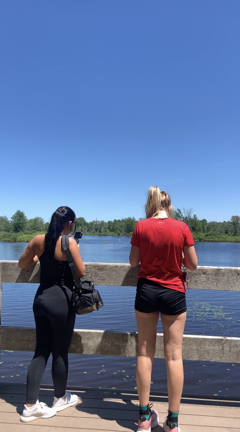 A Complete Guide to Geocaching | St. Lawrence County, NY